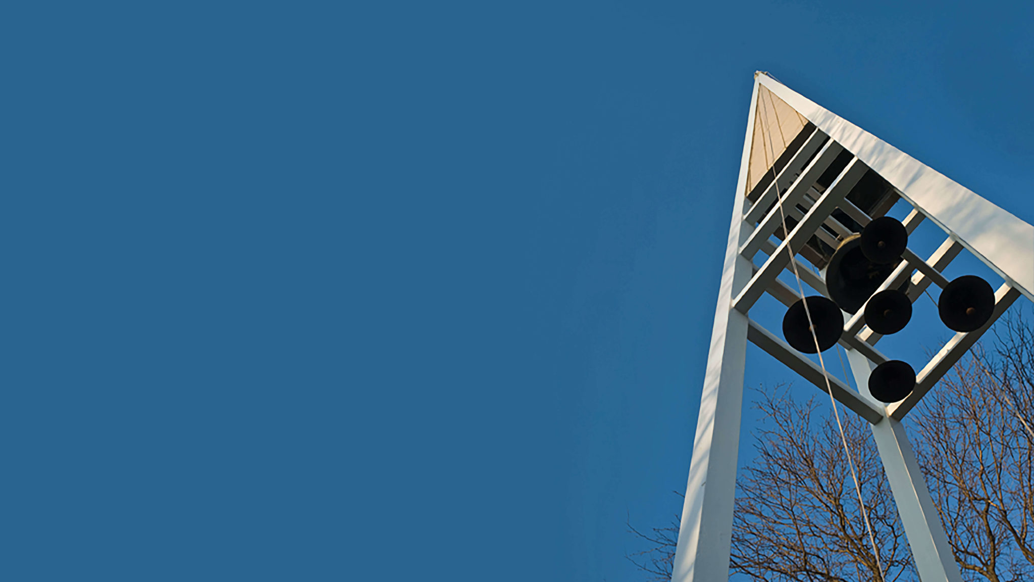 Online Backdrops – Brand Marketing – Schoolcraft College