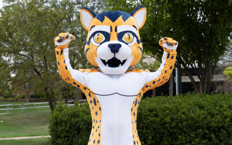 Ozzy the Ocelot is Our New Mascot – News – Schoolcraft College