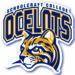 Athletics – Schoolcraft College